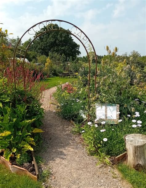 Follow The Yellow Book Road A Handbook Of Great British Gardens To Visit