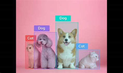 Do Object Detection Computer Vision Projects With Yolo And Tensorflow By Rishabh2007 Fiverr