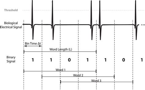 Binary Digitization And Word Formation Example 4 Bits From A Generic
