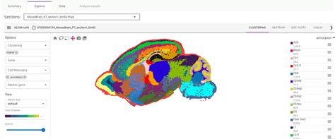 spatial resolution