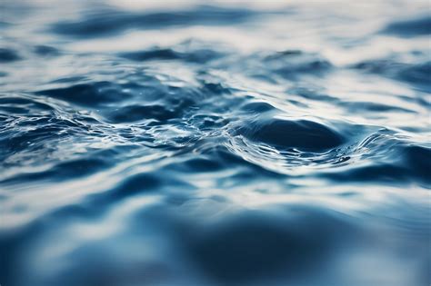 Download Ai Generated Sea Fresh Royalty Free Stock Illustration