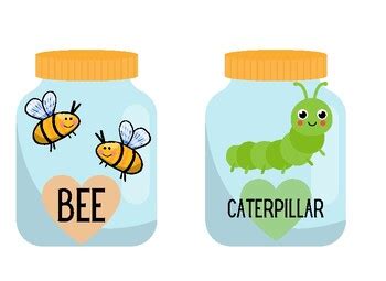 Bug Rhythm By Miss McCrimmon TPT