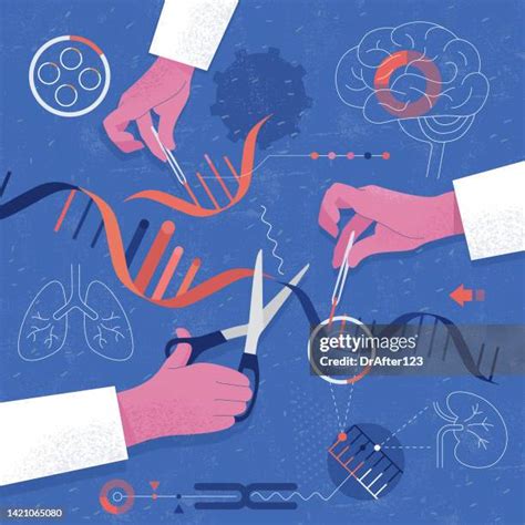 Crispr Vector Stockfotos En Beelden Getty Images