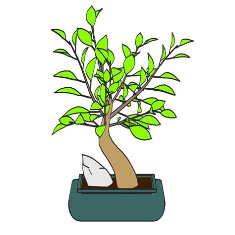 Bonsai Tree Stock Illustration Illustration Of Tree 35595272