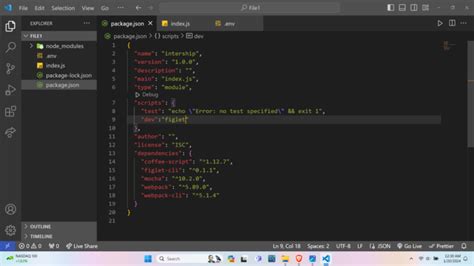 Executing Local NPM Packages A Simple Guide CodeForGeek