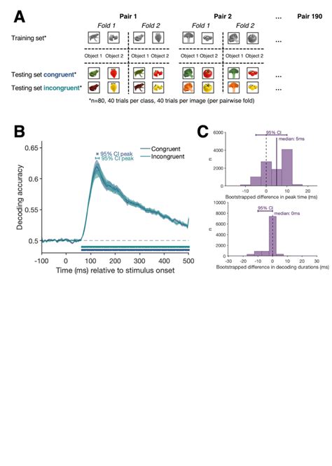 Results Of The Object Exemplar Decoding Analysis The Classifier Was