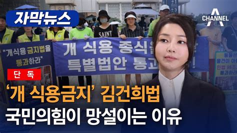 자막뉴스 단독 개 식용금지 김건희법 국민의힘이 망설이는 이유 채널a Youtube