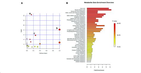 Summary Of Pathway Analysis With Metaboanalyst A Pathway Impact