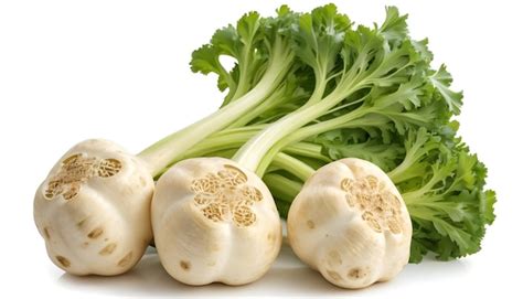 Premium Photo Celery Root Isolated On White Background