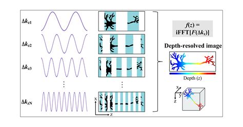Tomographic Encoded Multiphoton Microscopy Acs Photonics