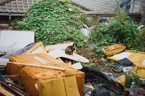 진입금지 일방통행그건 자동차에나 할 소리