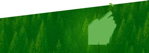 Причины боли в пояснице у женщин | Спина