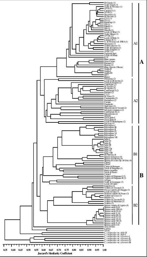 Dendrogram Obtained From Upgma Cluster Analysis Of Aflp Data Of 118 Download Scientific Diagram