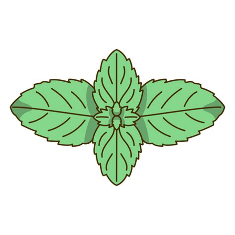 Peppermint Leaf Drawing Mint Plant Leaves Cut Out Png And Svg Design For
