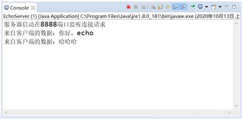 编写java程序，实现一个简单的echo程序（网络编程tcp实践练习）java 实现 串口 Echo Csdn博客