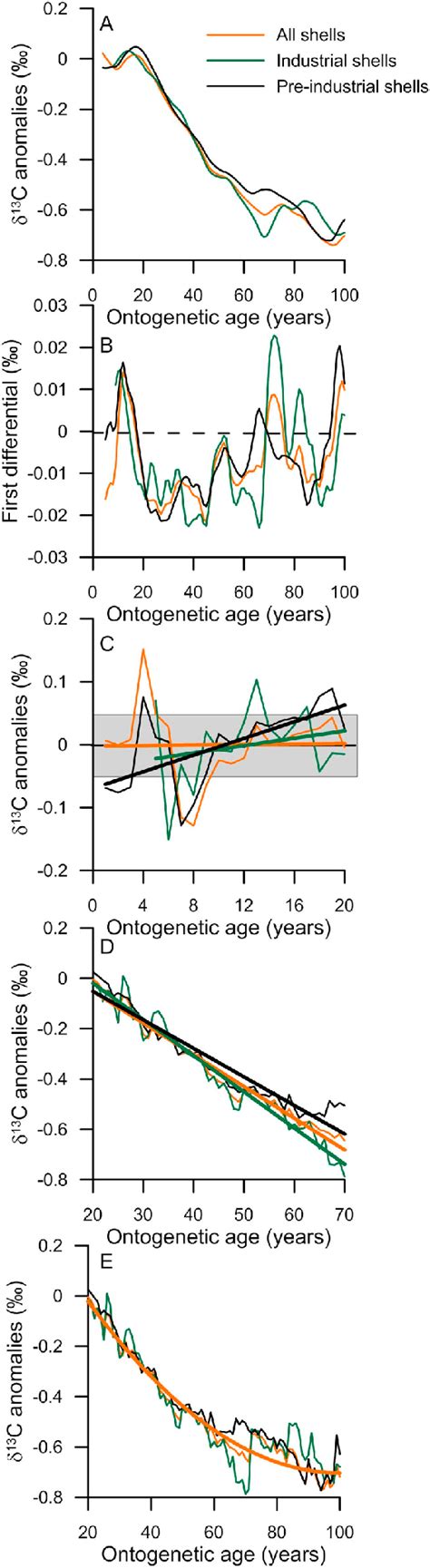 A Ten Year First Order Loess Low Pass Filtered Mean Population δ 13 C