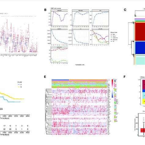 Nonnegative Matrix Factorization Clustering Identified Two Adipose Download Scientific