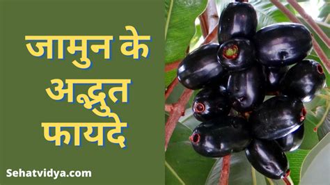 जामुन खाने के फायदे नुकसान Jamun Benefits In Hindi Sehatvidya
