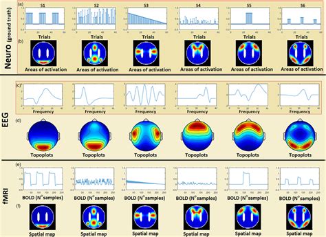 Simulated Sources In Electroencephalography Eeg And Functional