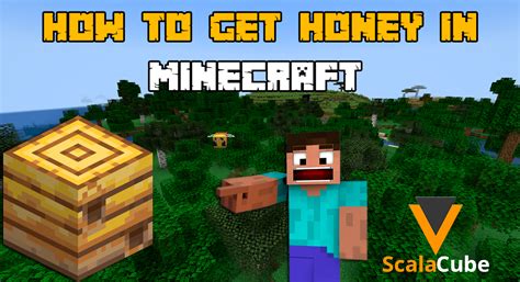 Honey Bee Mine Walkthrough And How To Unlock Byamj
