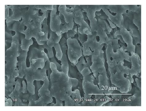 A Sem Microstructure Of C0 B Sem Microstructure Of C3 And C Sem