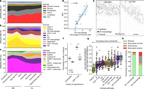 Organization Of The Human Intestine At Single Cell Resolutionnature X Mol Organization Of The Human Intestine At Single Cell Resolutionnature X Mol