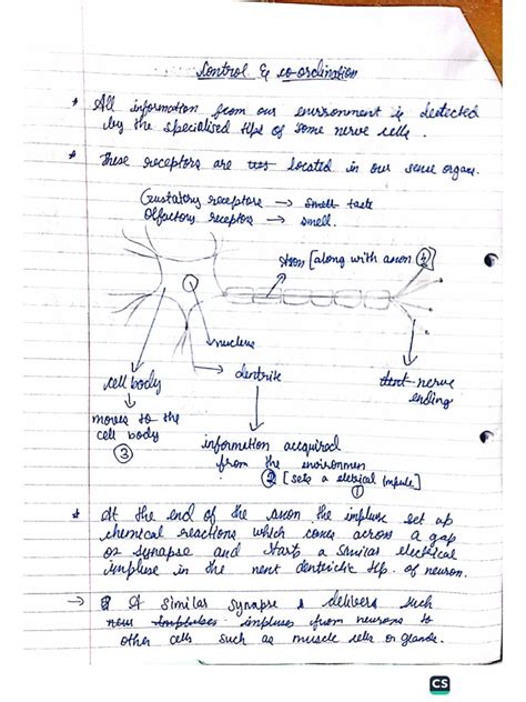 Control Coordination Handwritten Notes Pdf