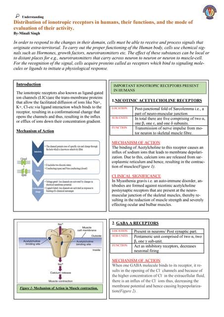 Understanding The Role Of Ionotropic Receptors Pdf