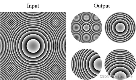 Matlab：矩阵剪切成圆形区域函数 使用matlab进行圆形裁剪 Csdn博客
