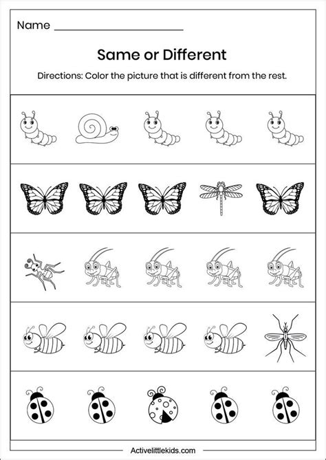 Free Same And Different Worksheets For Preschool Artofit