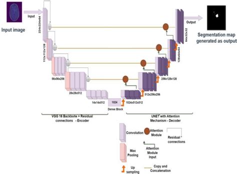 figure 1 from enhanced postoperative brain mri segmentation with automated skull removal and
