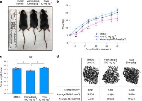 Fivis Nanoparticles Abrogate Vismodegib Treatment Related Bone Toxicity