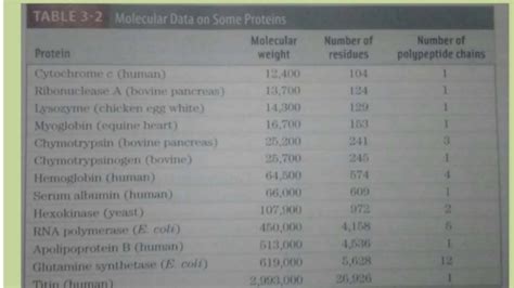 Protein Classification Pptx