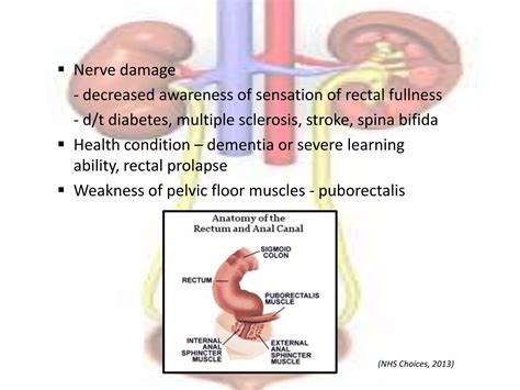 Incontinence Bowel And Bladder Pptx