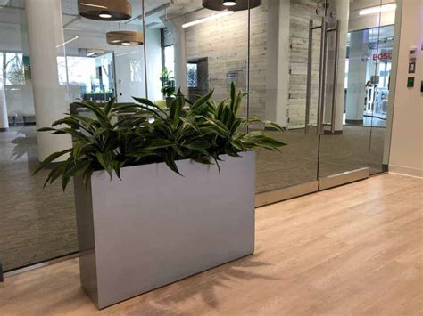Rectangle Planters Massachusetts Office Plant Service Interior Landscaping Envirogreenery