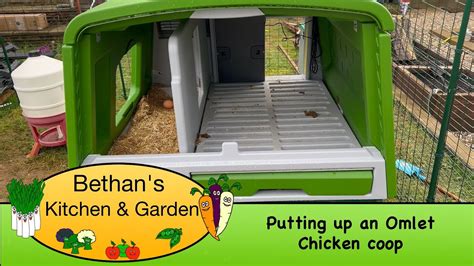 Chicken Coops Like Omlet At Dorothy Butler Blog