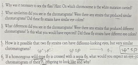 Solved 1 Why Was It Necessary To Sex The Flies Hint On
