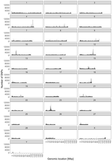 The Distribution Of Snps Across Chromosomes Download Scientific Diagram