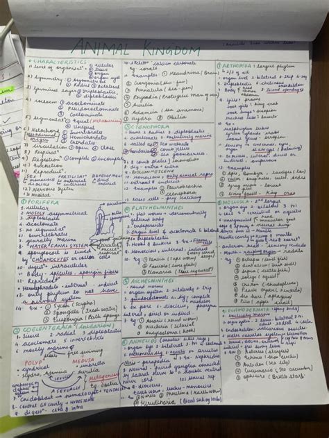 Chemistry Matriculation Notes Semester 1 Jason Kerr