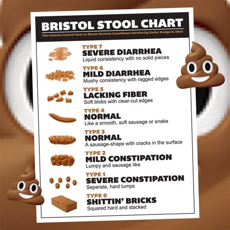Bristol Stool Chart Printable