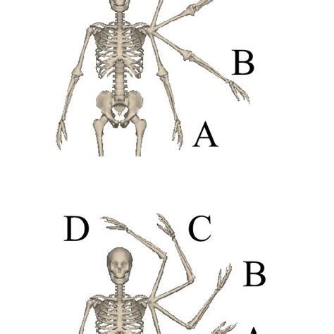 The Character Demonstrates A Simple Single Axis Rotation With Two Arm