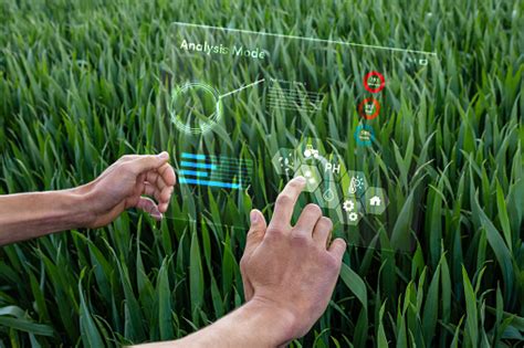 Using Artificial Intelligence To Improve Crop Health And Growth Stock