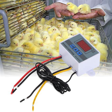 Microcomputer Temperature Controller Accurate Hatching Breeding Easy