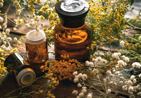 New ANP Interaction Database The ANP