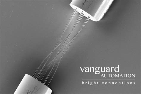 Photonic Integration And Packaging With Photonic Wire Bonding And Facet