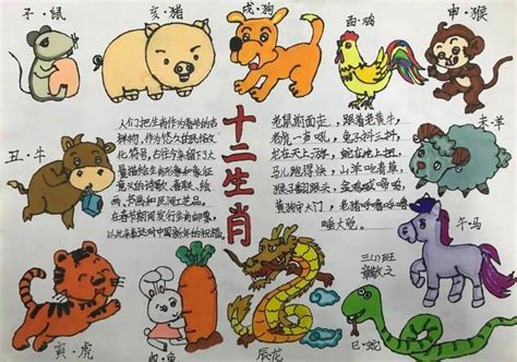 十二生肖全部手抄报 手抄报图片大全 普车都