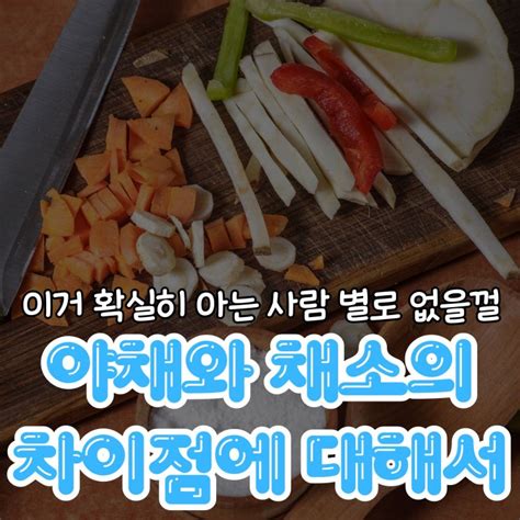 야채 채소 차이점은 뭐일까 같은 걸까 네이버 블로그