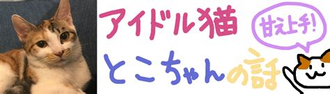 Lenoco Excel Vba｜excel Vbaのtipsをお届け！
