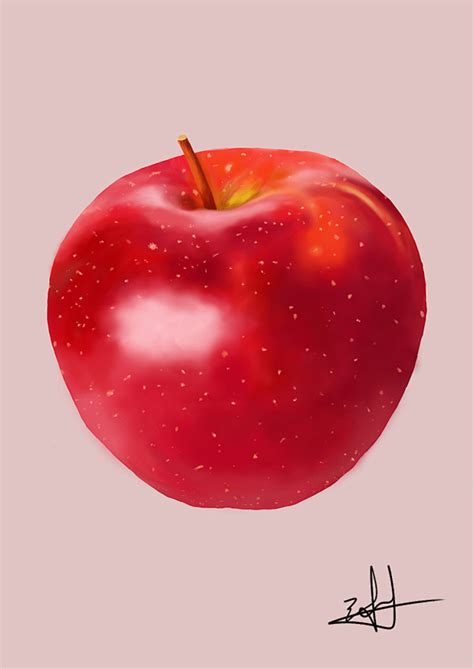 苹果写实写实插画