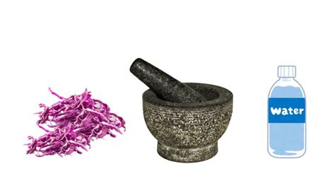 Red Cabbage Ph Indicator Experiment